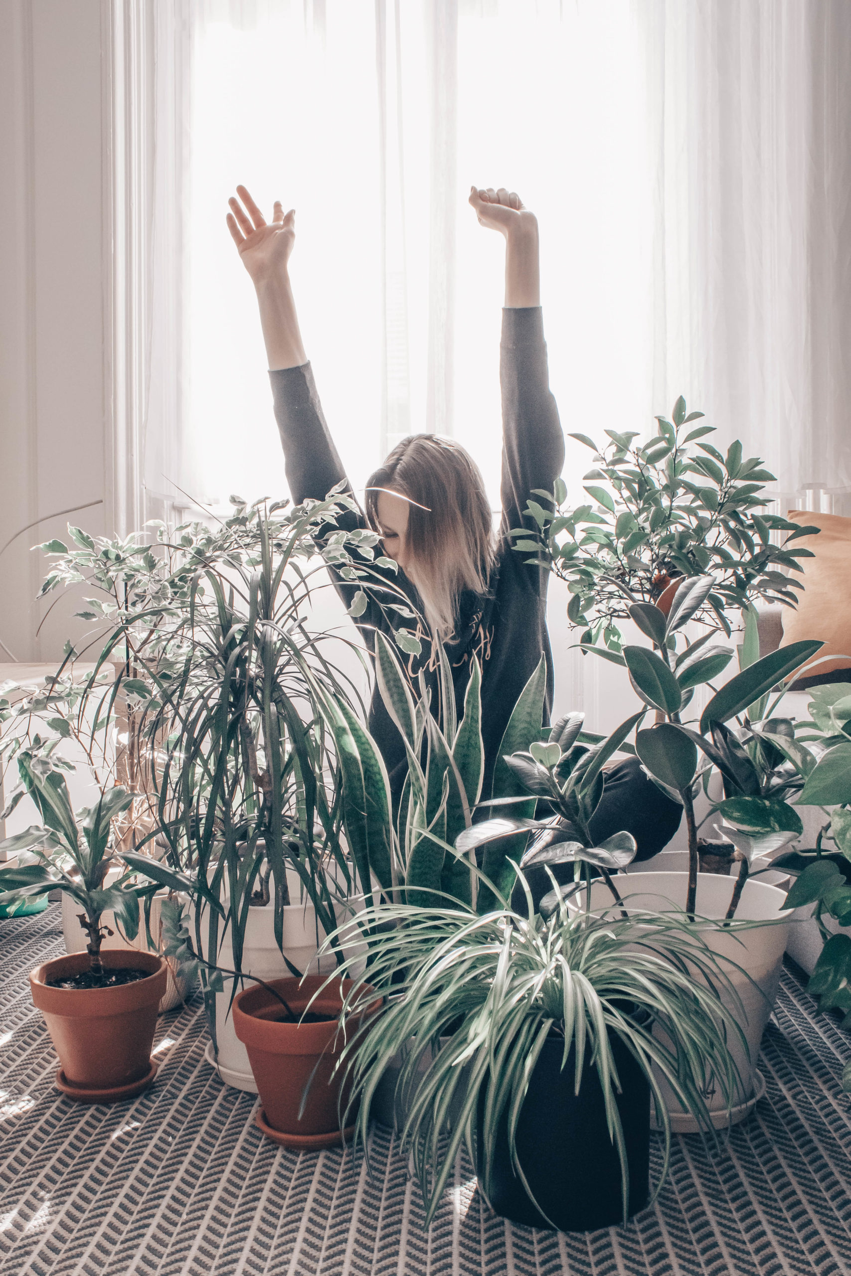 To Plant Or Not To Plant - A Taste of Fun