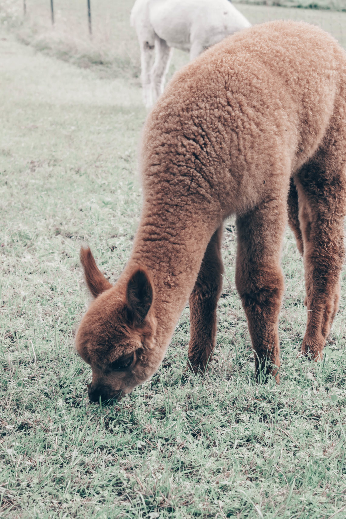 9 Reasons to visit Upper Austria - A Taste of Fun - Why Upper Austria?